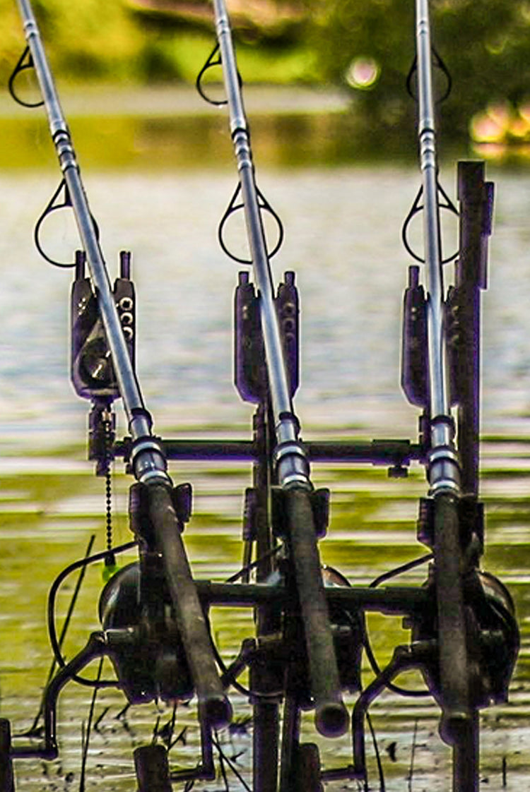 Prologic Catching Elements, high- quality carp fishing gear – Prologic EU